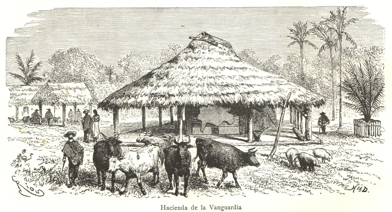 Pioneros de la ganadería en el siglo XIX – Albeiro Valencia Llano